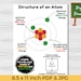 Printable Atom Anchor Chart, Atomic Structure, Middle School Science ...