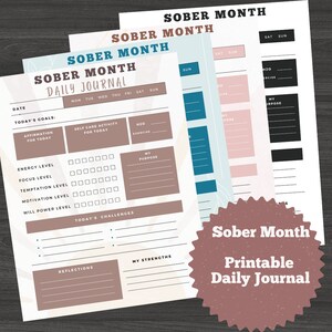 Dry January Journal, Printable Planner Daily Journal, Sober No Alcohol Challenge Tracker, New ...