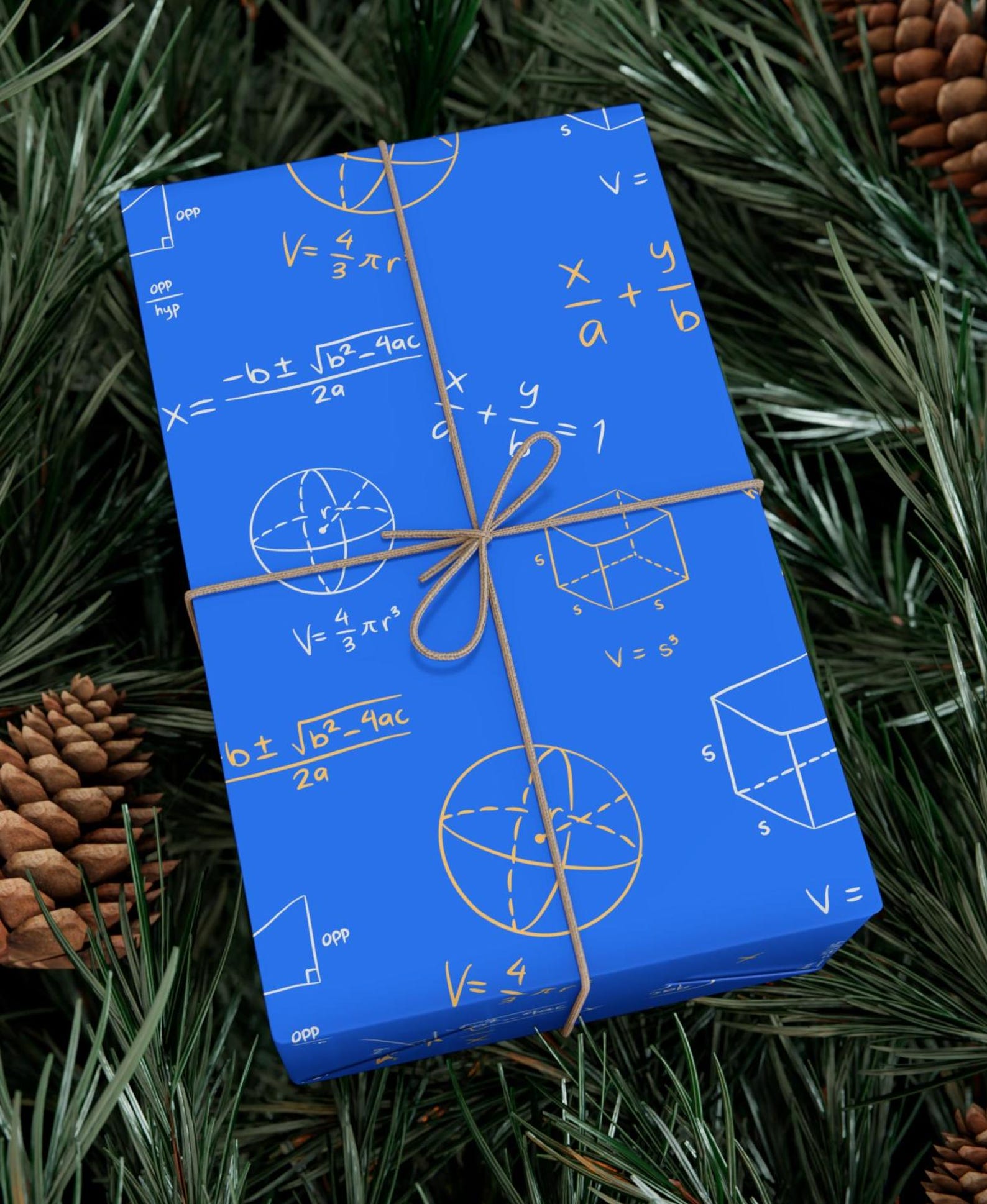 Math Gift Wrap, Trigonometry, Calculus Equations, Gift for Math Teacher ...