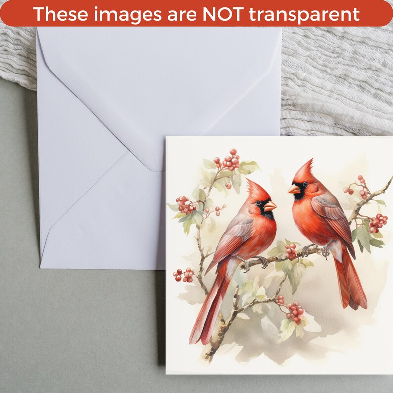 Red Cardinal PNG, Printable Winter Digital Paper, Cardinal Bird on a ...