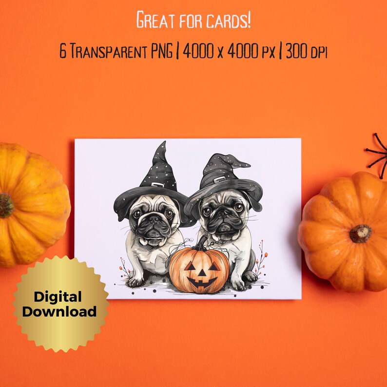 Halloween Pug Clipart, Dogs Halloween PNG, Cute Pugs Wearing Witch Hats ...