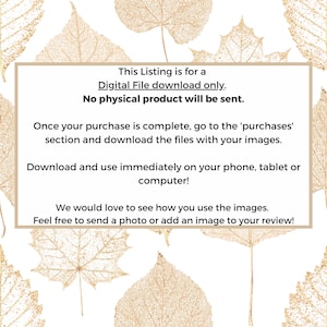 Diverse Kids Fall Clipart, Multicultural Kids PNG, Autumn Classroom ...