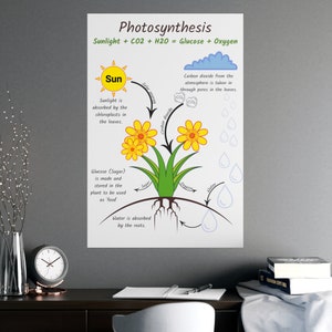 Photosynthesis Poster, Science Teacher, Biology Classroom Anchor Chart ...