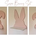 Set of 3 Bunny Rabbit Shelf, Kids Room Decor, Nursery Decor, Baby ...