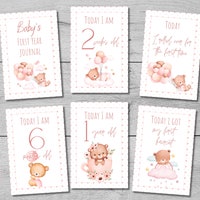 Milestone Cards - Etsy