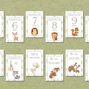 French 56 Woodland Baby Milestone Cards Printable Unisex Memory ...