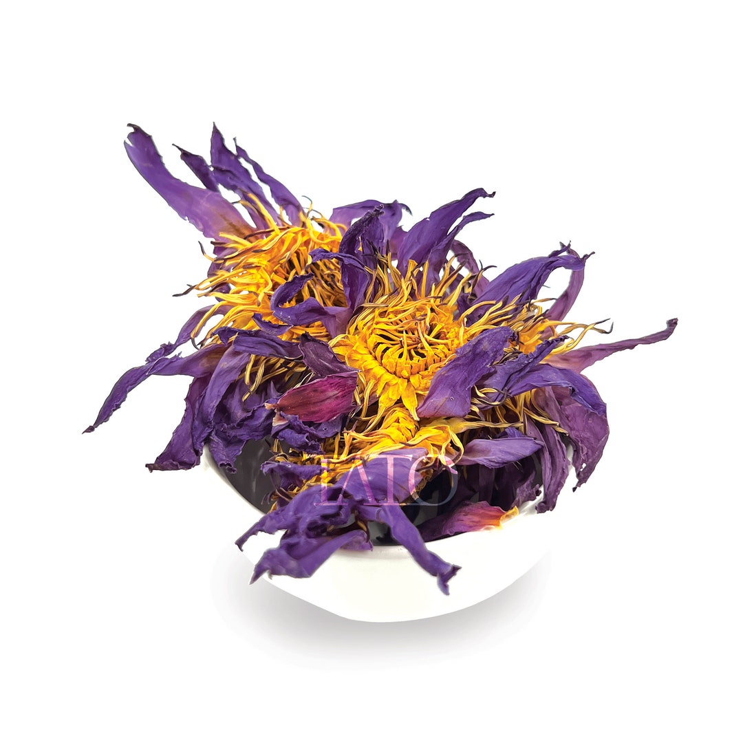 Organic Blue Lotus Dried Whole Flowers Premium Nymphaea Caerulea ...
