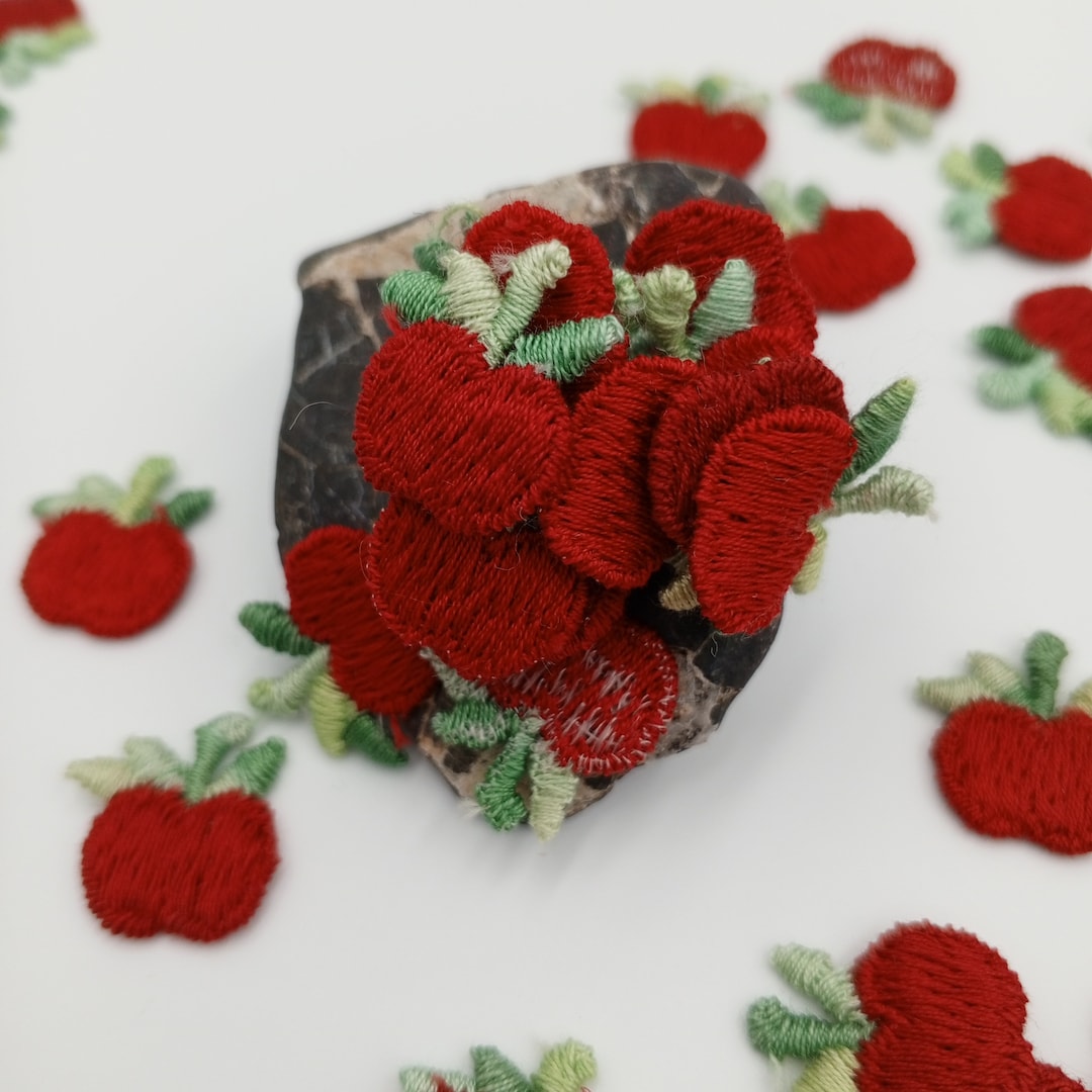 Cute RED APPLE VINTAGE Small Fruit Appliques Decorative Sewn on Patches ...
