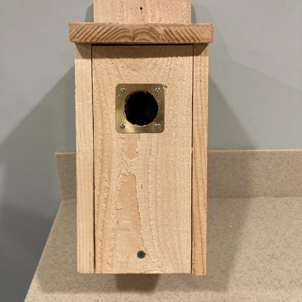 Bird House Predator Guard - Etsy