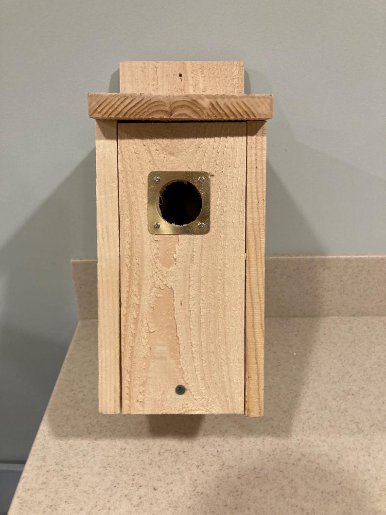 Cedar Bluebird House With Predator Guard - Etsy