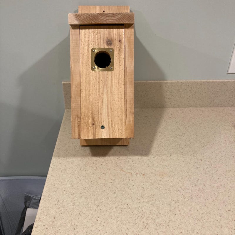 Bird House Predator Guard - Etsy