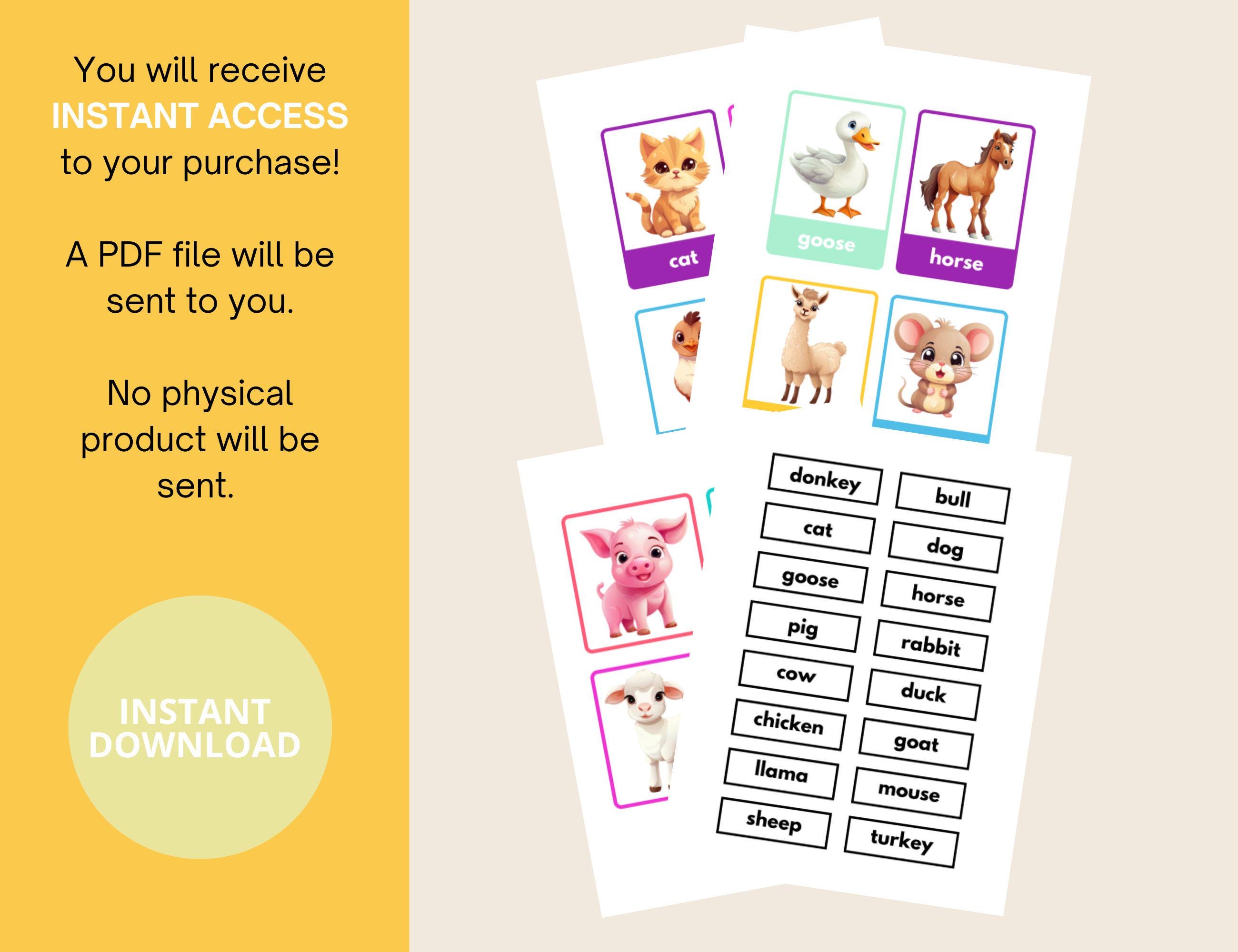 Farm Animal Cards, Curious Baby Activity Cards, Preschool Educational ...