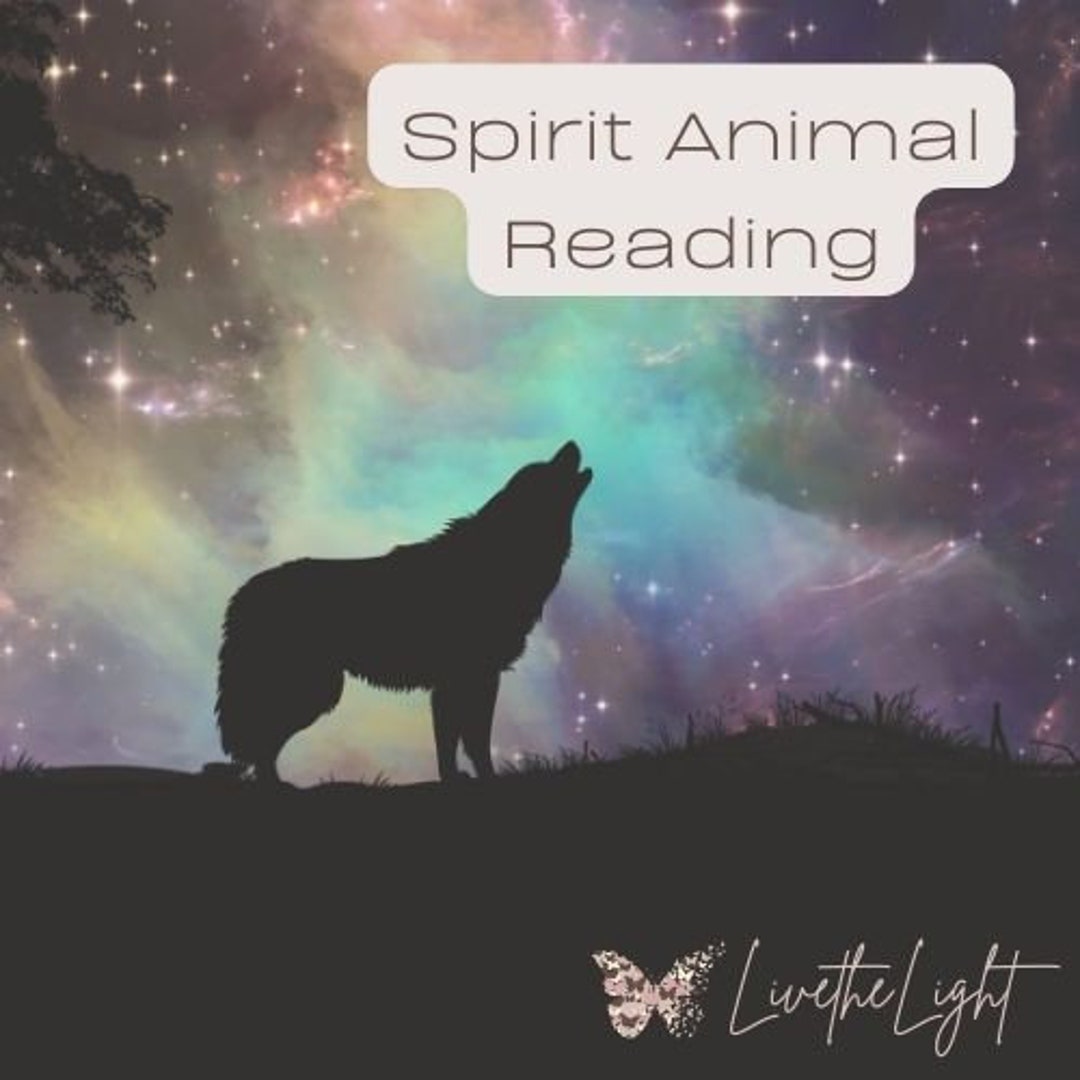 Light-based Spirit Animal Reading, Spirit Guide, Animal Guide, Animal ...