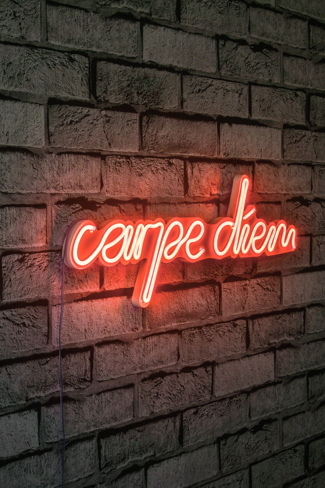 Carpe Diem Neon Sign Wall Decor - Handmade Custom Neon - Carpe Diem Led ...