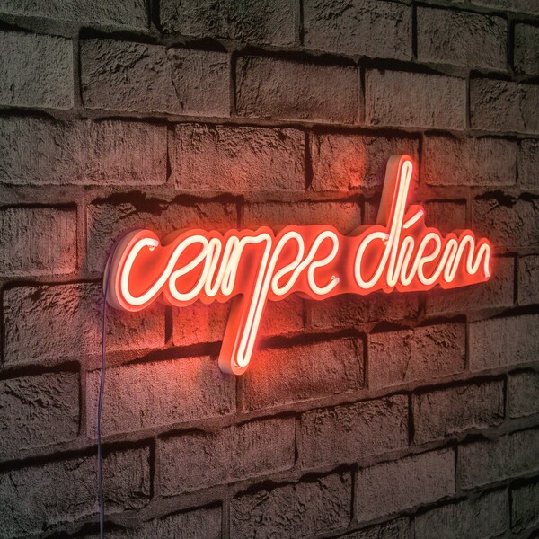 Carpe Diem Sign - Etsy