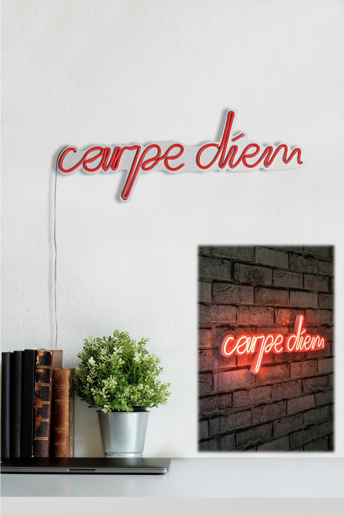 Carpe Diem Neon Sign Wall Decor Handmade Custom Neon Pink Carpe Diem ...