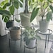 5-pack Metal Plant Stands for Indoor Outdoor Use – Heavy Duty Iron ...