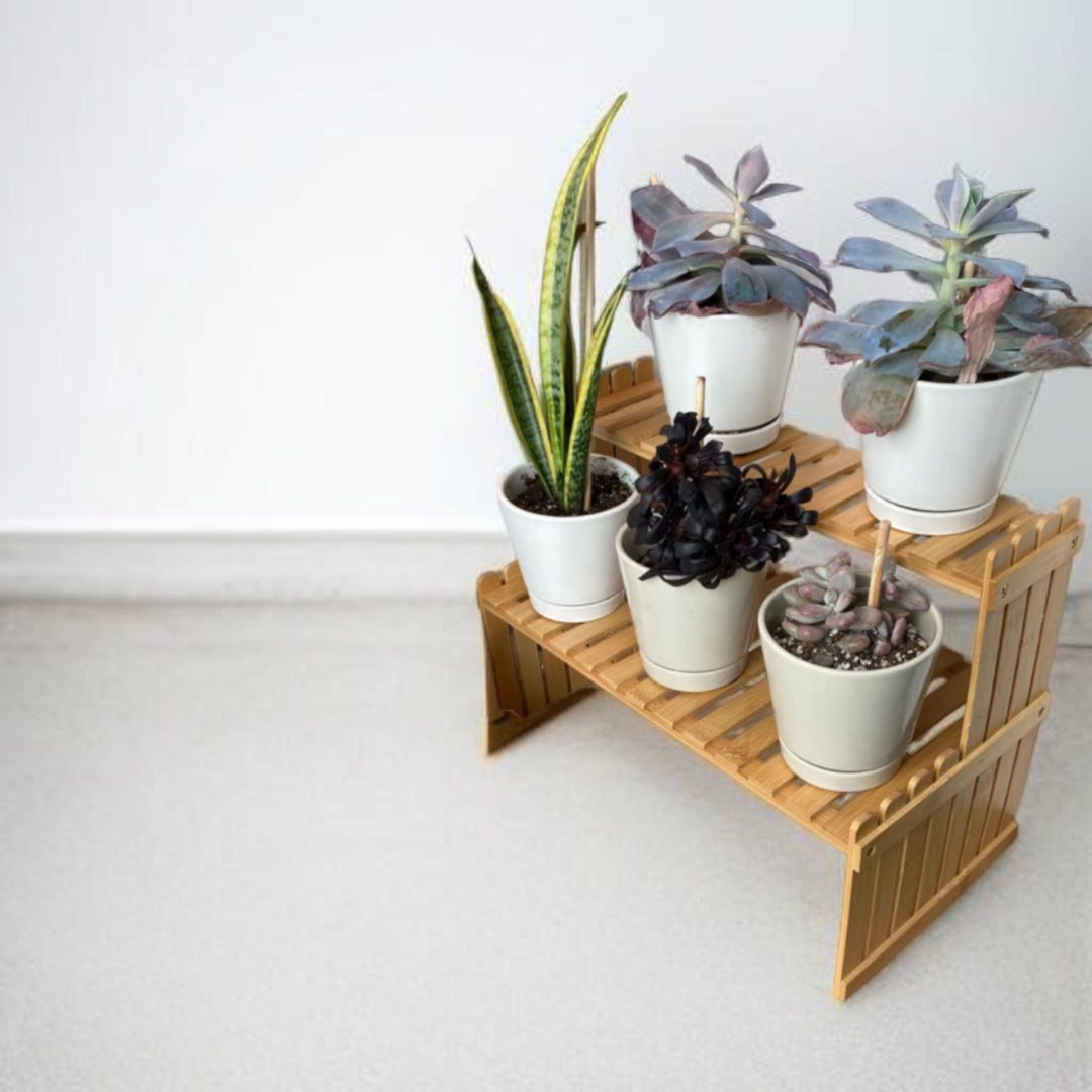 2-tier Bamboo Desk Plant Stand – Small Indoor Shelf Organizer for ...