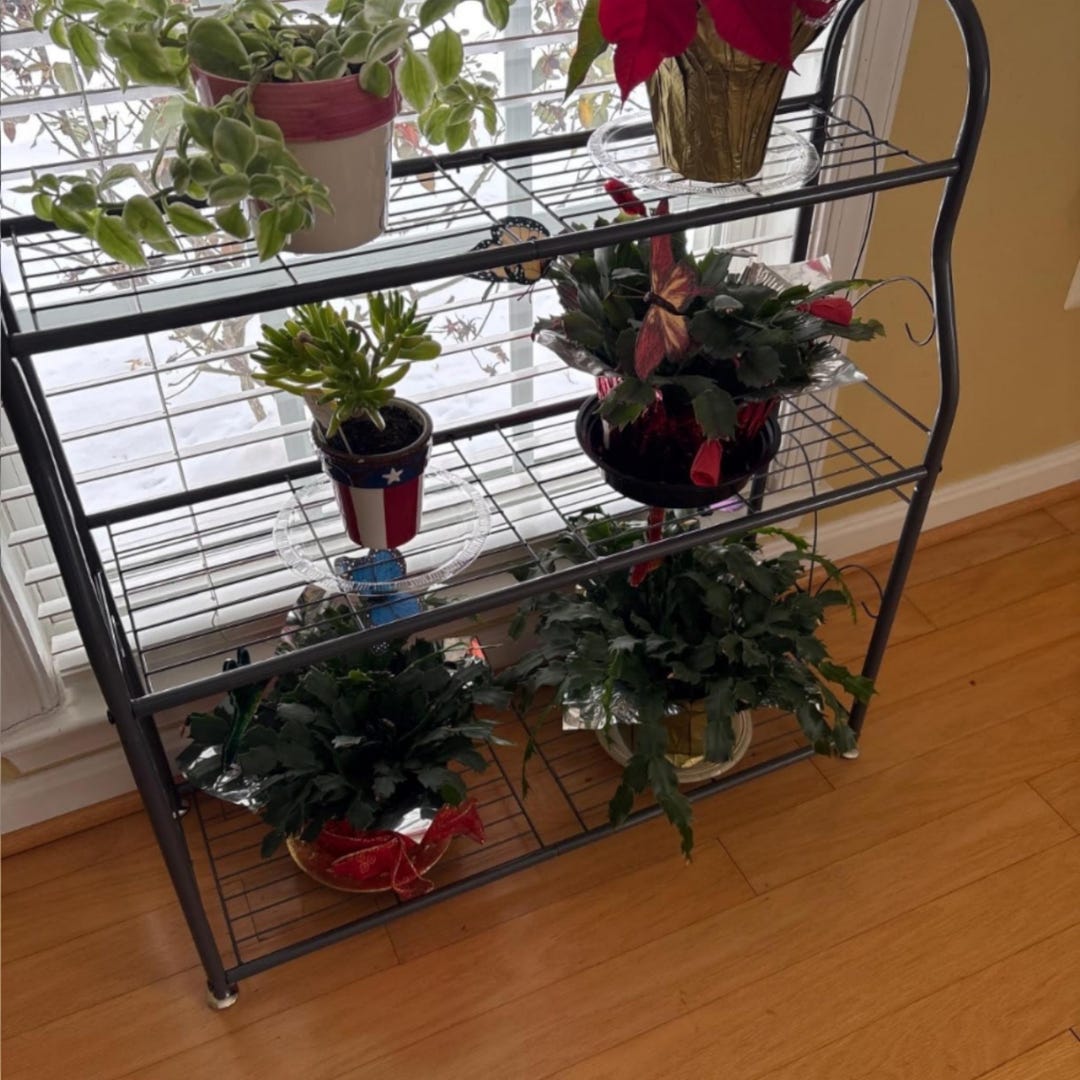 3 Tier Iron Plant Stand for Indoor Outdoor Use – Dark Grey Corner Plant ...