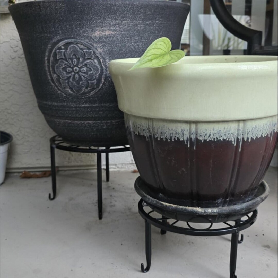 10 Pack Heavy Duty Metal Plant Stands – Indoor Outdoor Iron Flower Pot ...