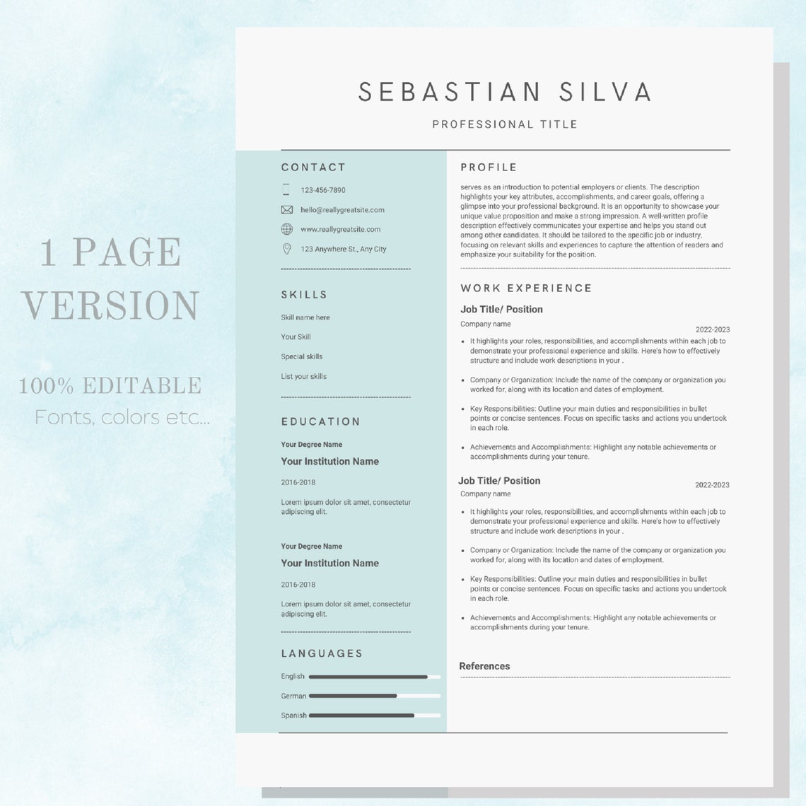 Resume Template CV Template Professional Resume Blue and Grey Template ...