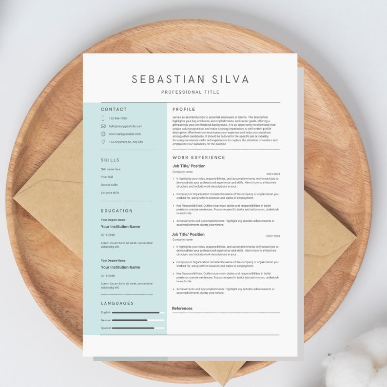 Resume Template CV Template Professional Resume Blue and Grey Template ...