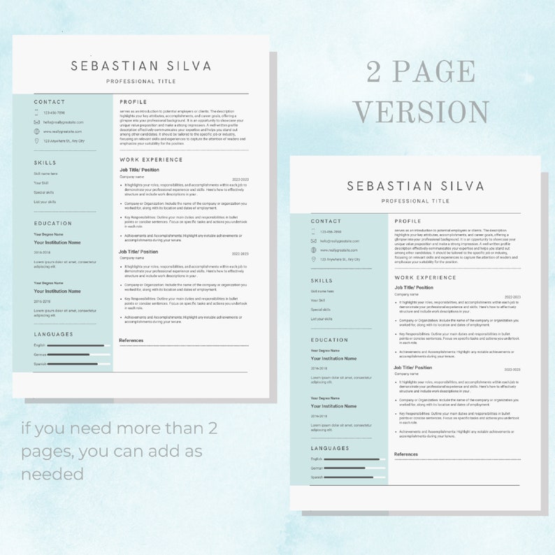 Resume Template CV Template Professional Resume Blue and Grey Template ...