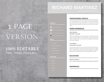 Resume Template CV Template Professional Resume Blue and Grey Template ...