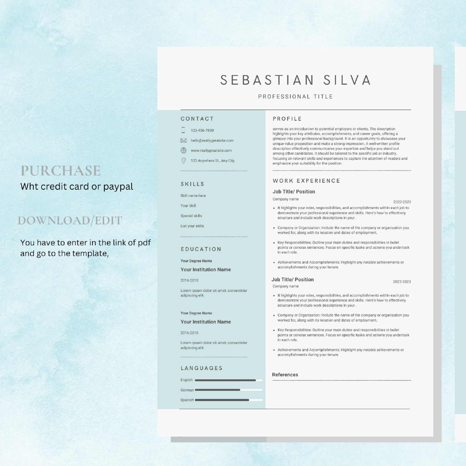 Resume Template CV Template Professional Resume Blue and Grey Template ...