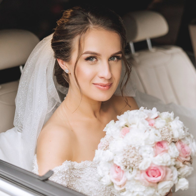 Bridal Veil Sparkle, Glitter Bridal Single Veil, Sparkly Bridal Veil, Wedding Veil Sparkle ...