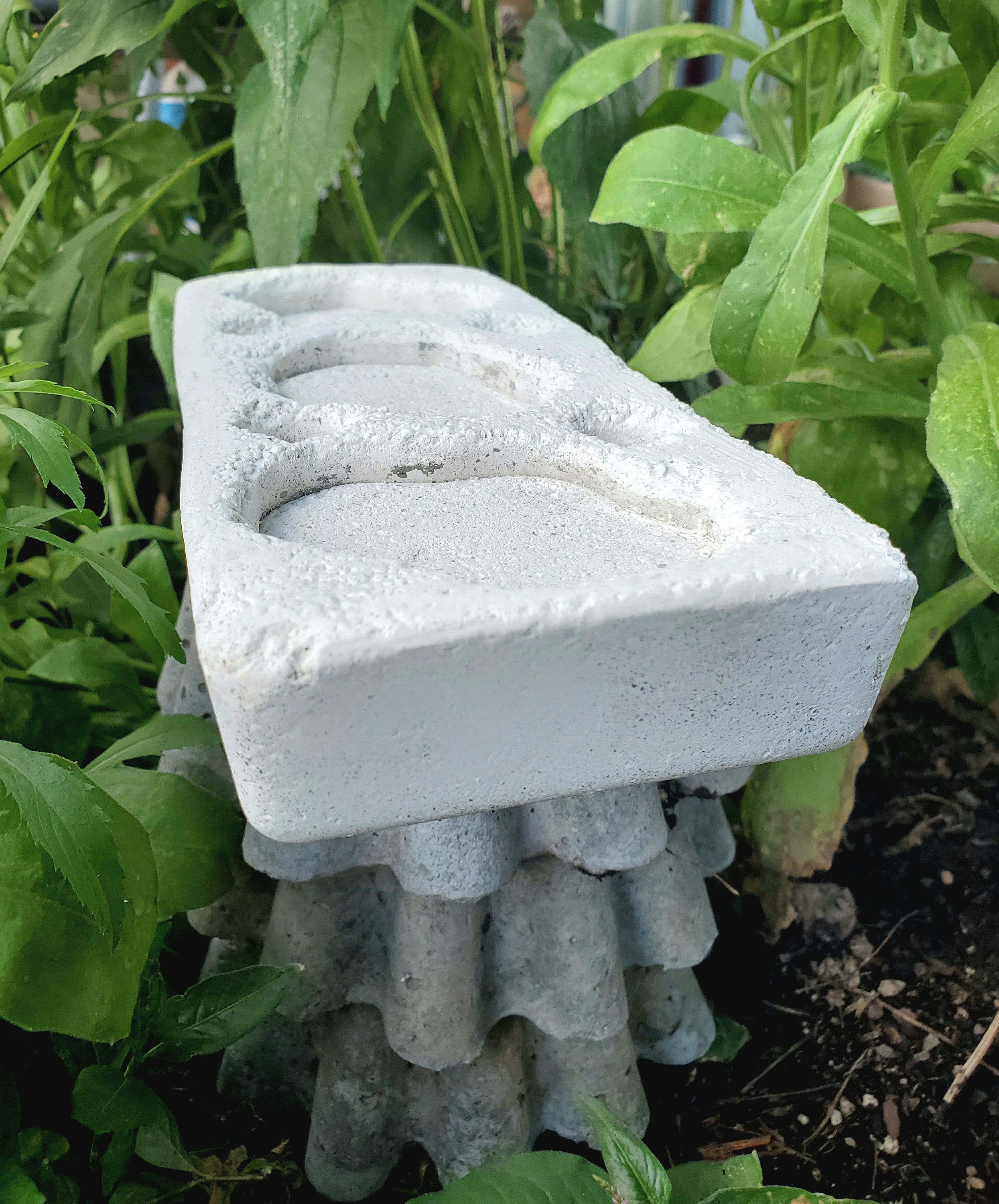 Cement Bee Watering Station, Butterfly Puddler Dish, Pollinator Garden ...