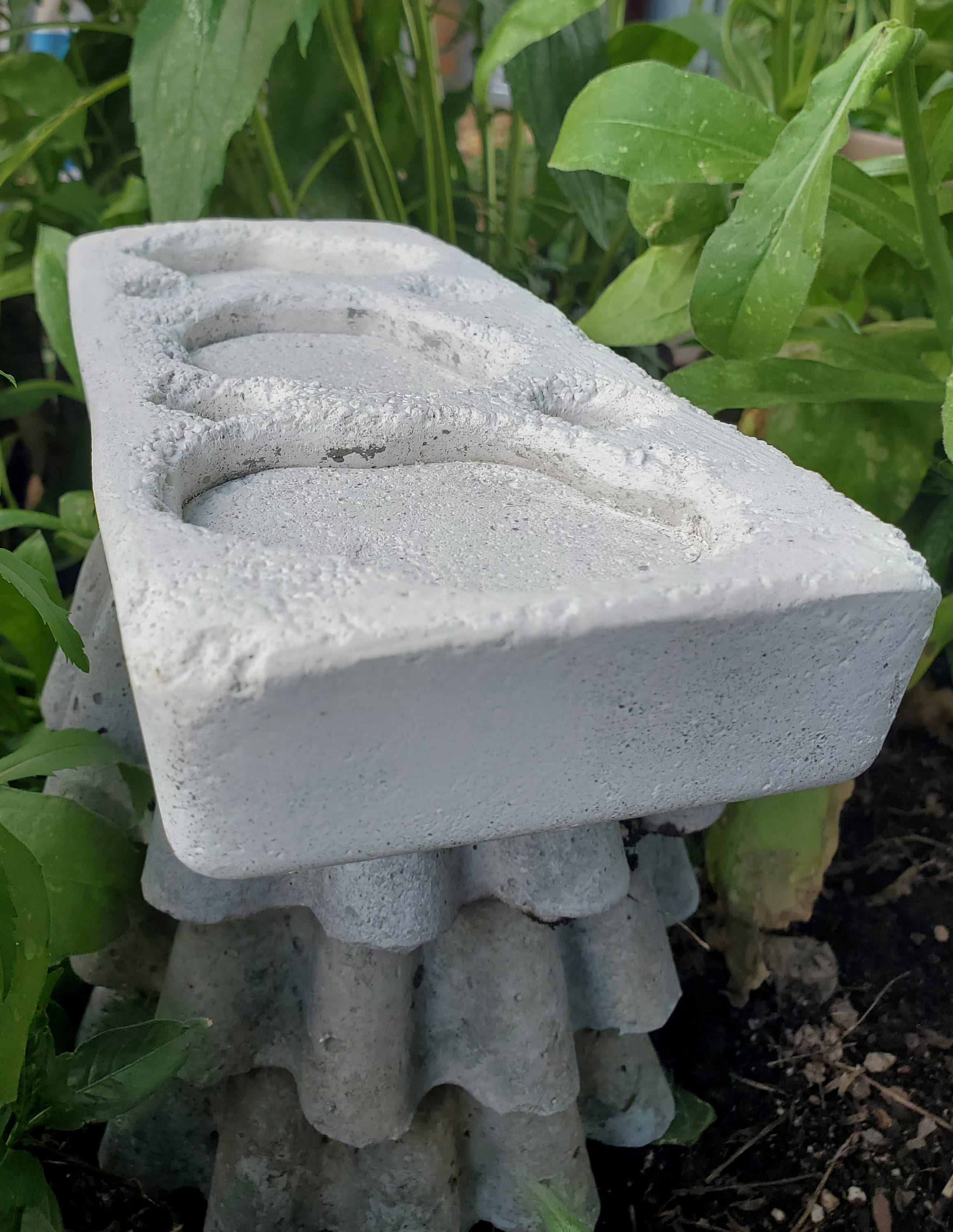 Cement Bee Watering Station, Butterfly Puddler Dish, Pollinator Garden ...