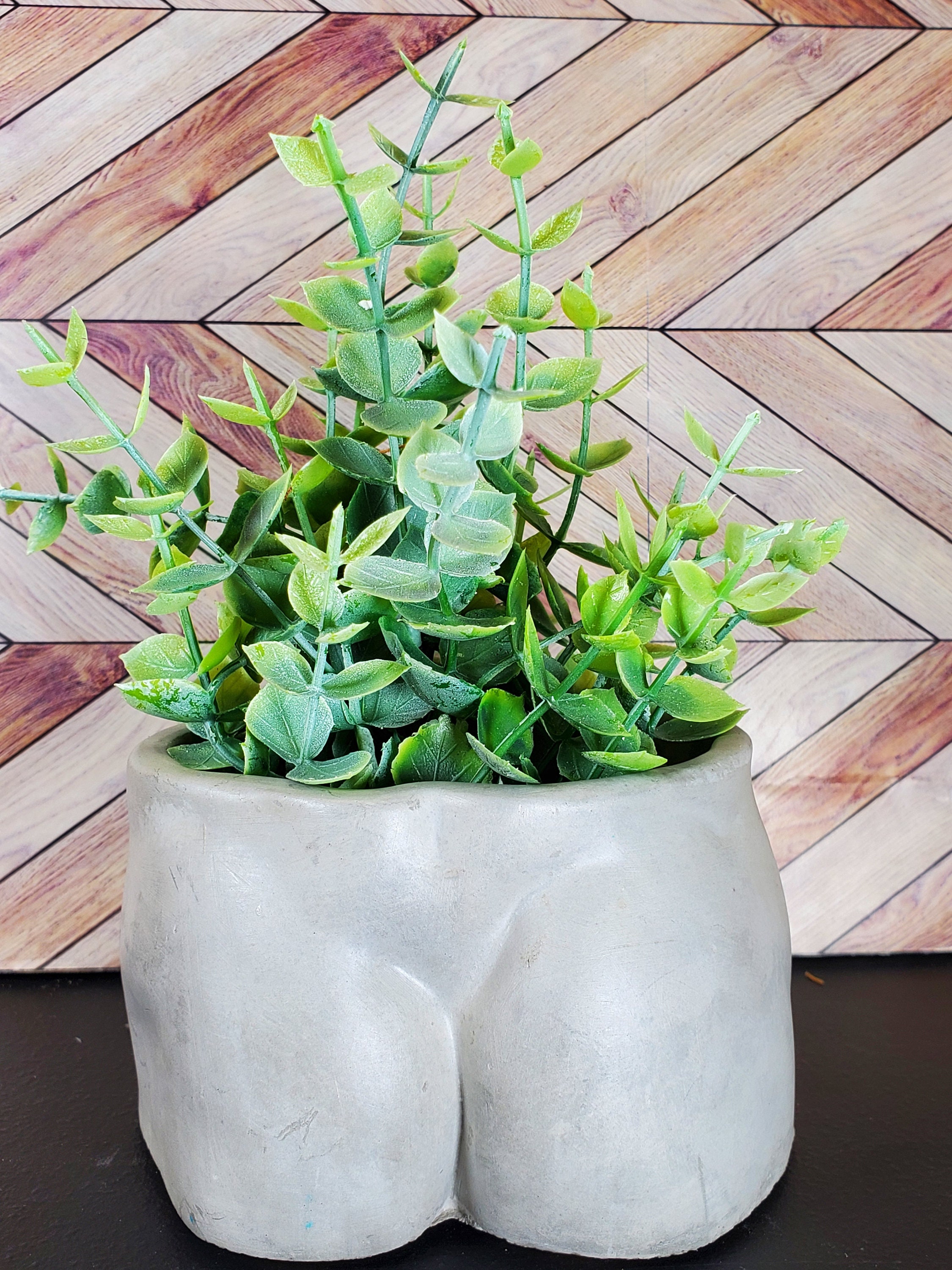 Man Torso Planter, Concrete Penis Planter, Male Planter Pot - Etsy