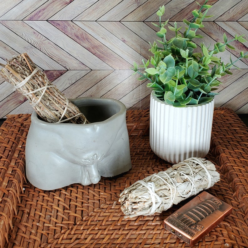 Man Torso Planter, Concrete Penis Planter, Male Planter Pot - Etsy