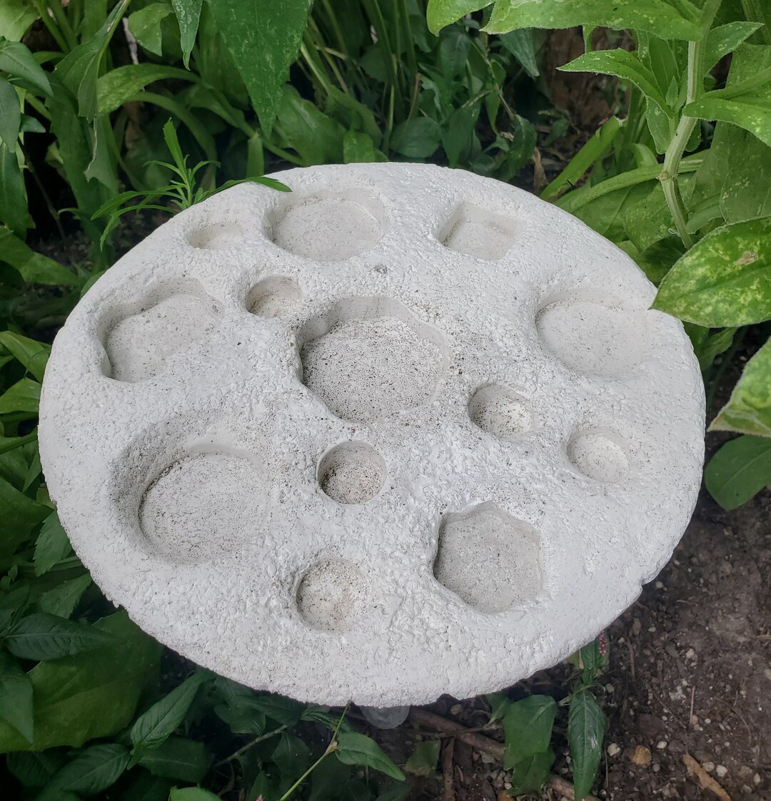 Cement Bee Watering Station, Butterfly Puddler Dish, Pollinator Garden ...