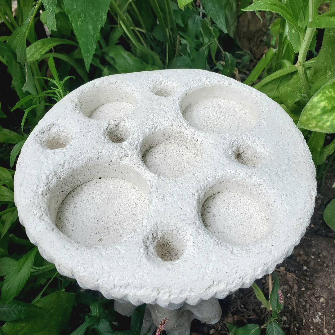 Cement Bee Watering Station, Butterfly Puddler Dish, Pollinator Garden ...