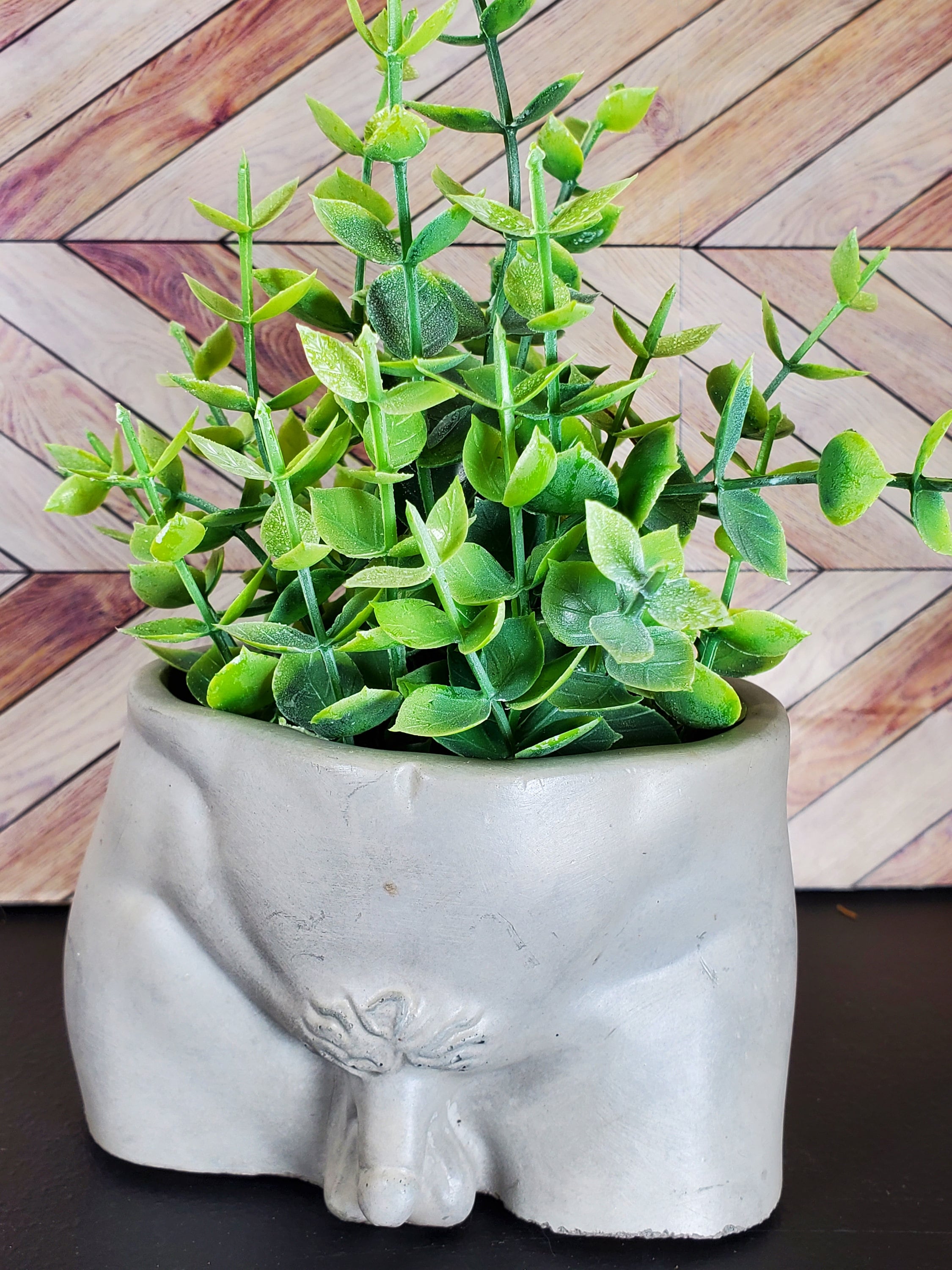 Man Torso Planter, Concrete Penis Planter, Male Planter Pot - Etsy