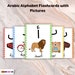 Arabic Alphabet Flashcards | Arabic Alphabet Cards | Arabic Letters ...