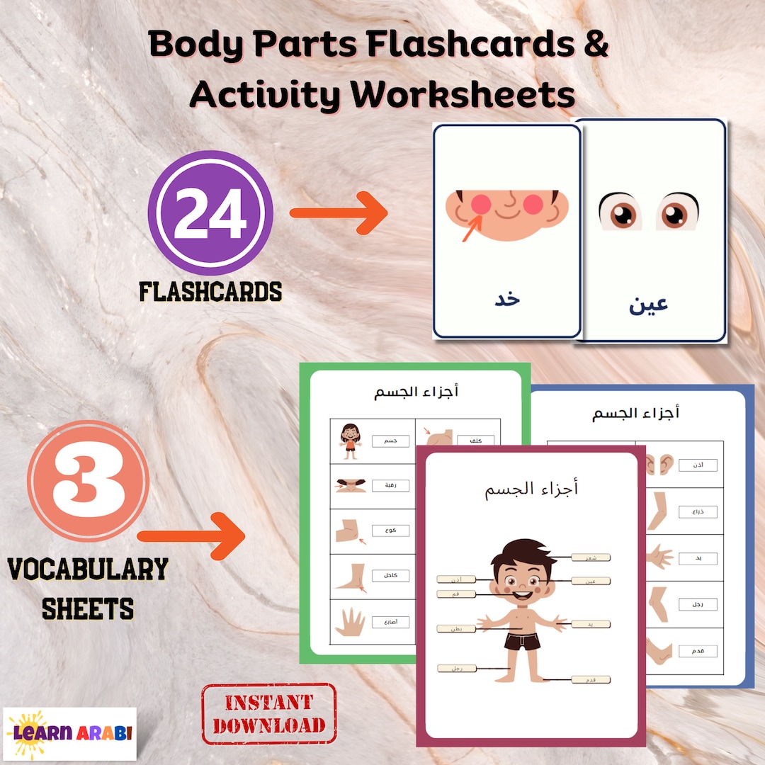 Body Parts Vocabulary Activity Worksheets - Etsy