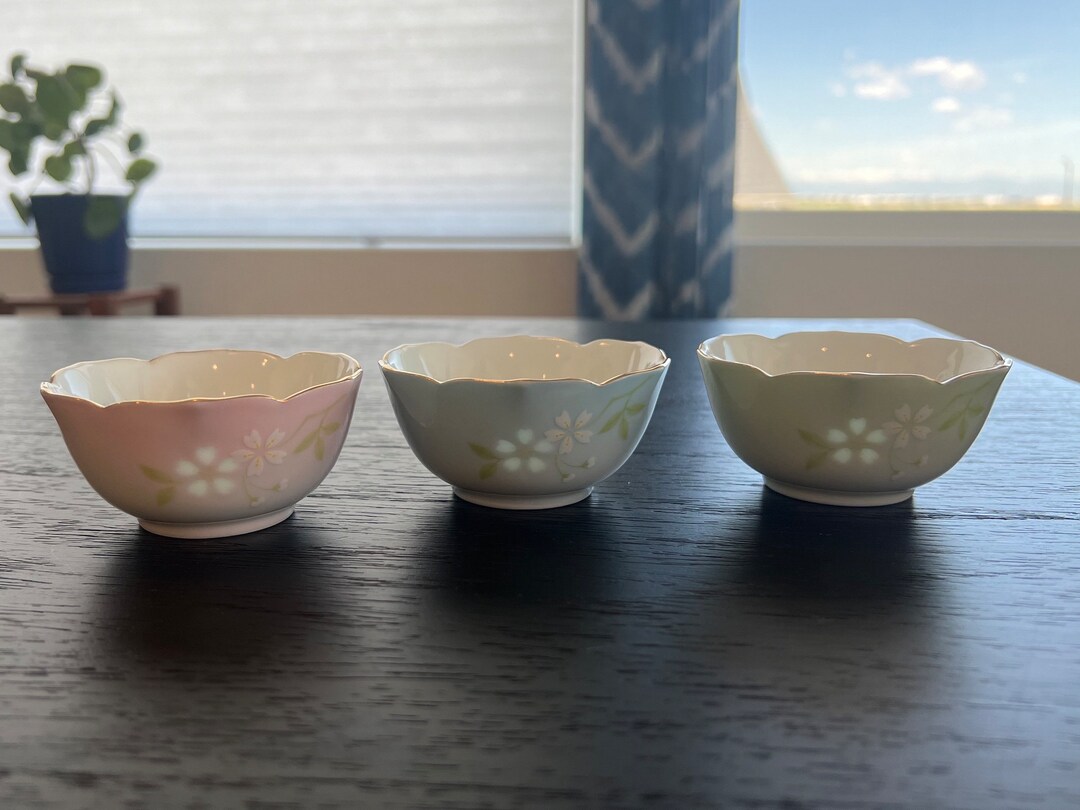 Arita Ware Japanese Porcelain Firefly Flower Gold Rim Rice Bowl Set - Etsy
