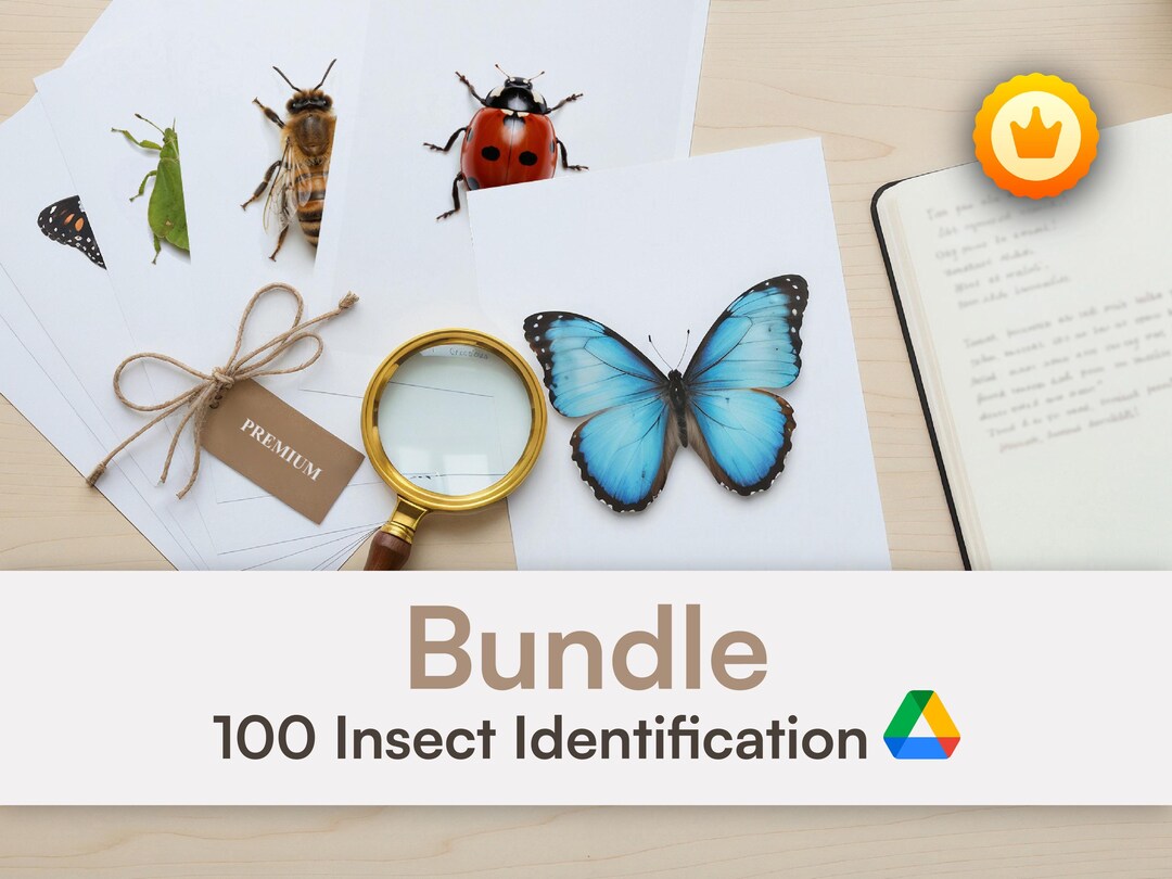 100 Insect Identification Charts | Printable Biology & Entomology Study ...