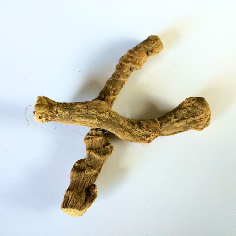 100% Natural Calamus Root | Sweet Flag Root | Acorus Calamus Dried Root ...