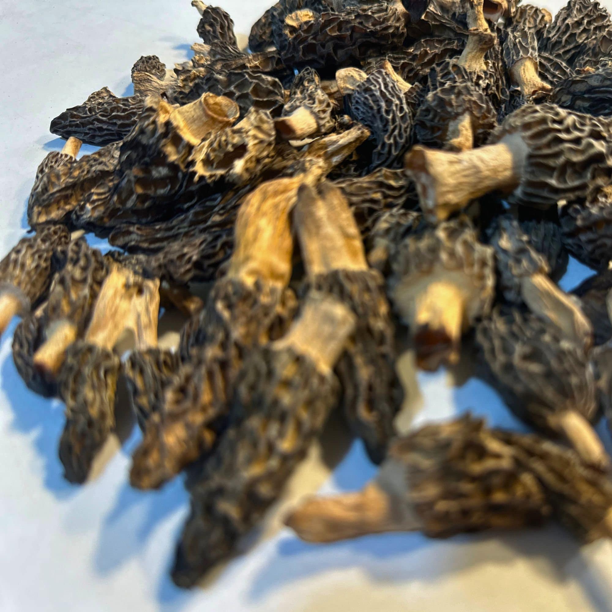 Himalayan Dried Morel Mushrooms: Wild-crafted Gourmet Food (900g-1 ...