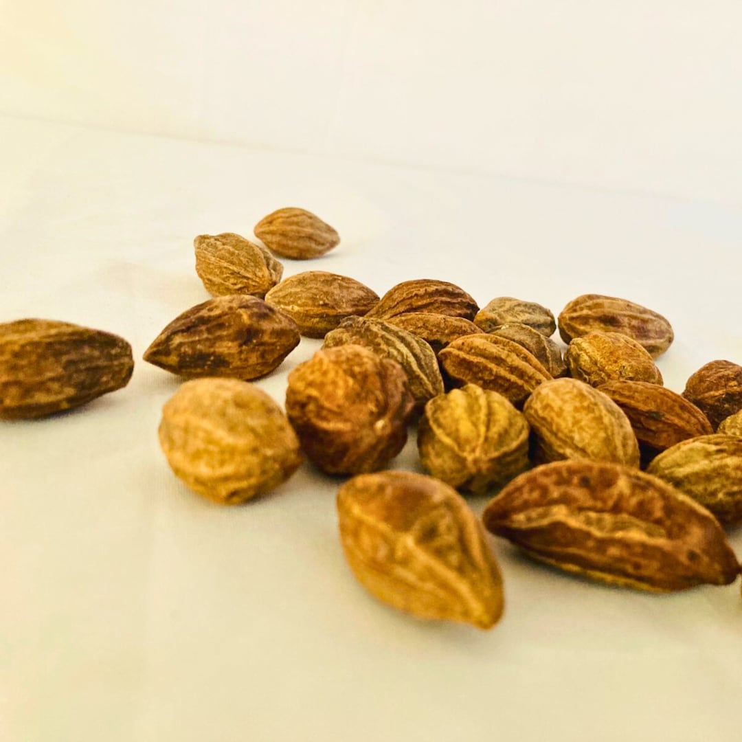 Chebulic Myrobalan 900g | Natural Haritaki Fruit Rich in Tannins ...