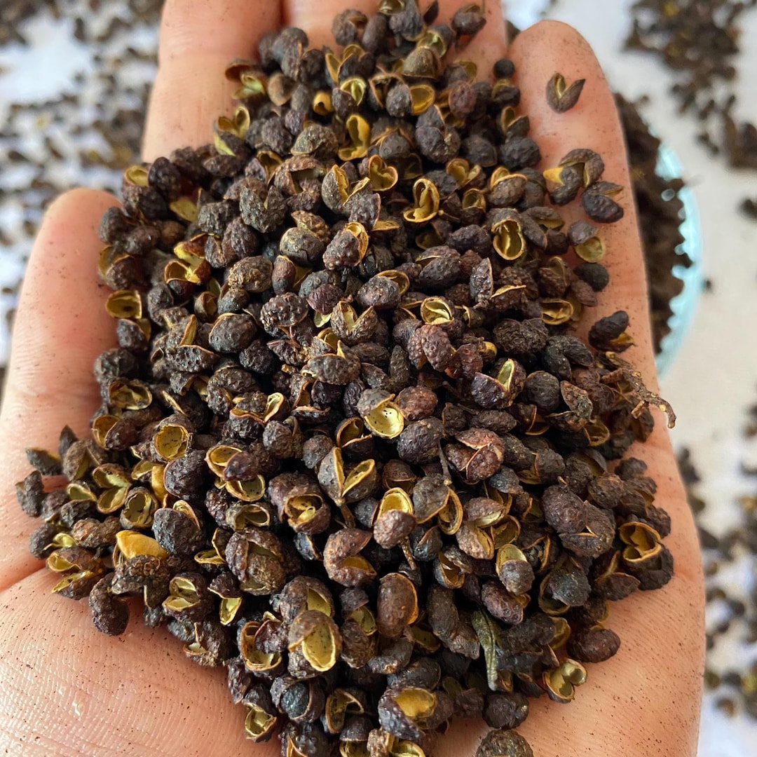 Timut Pepper, Wild-crafted Sichuan Spice, Nepali Timur - Etsy