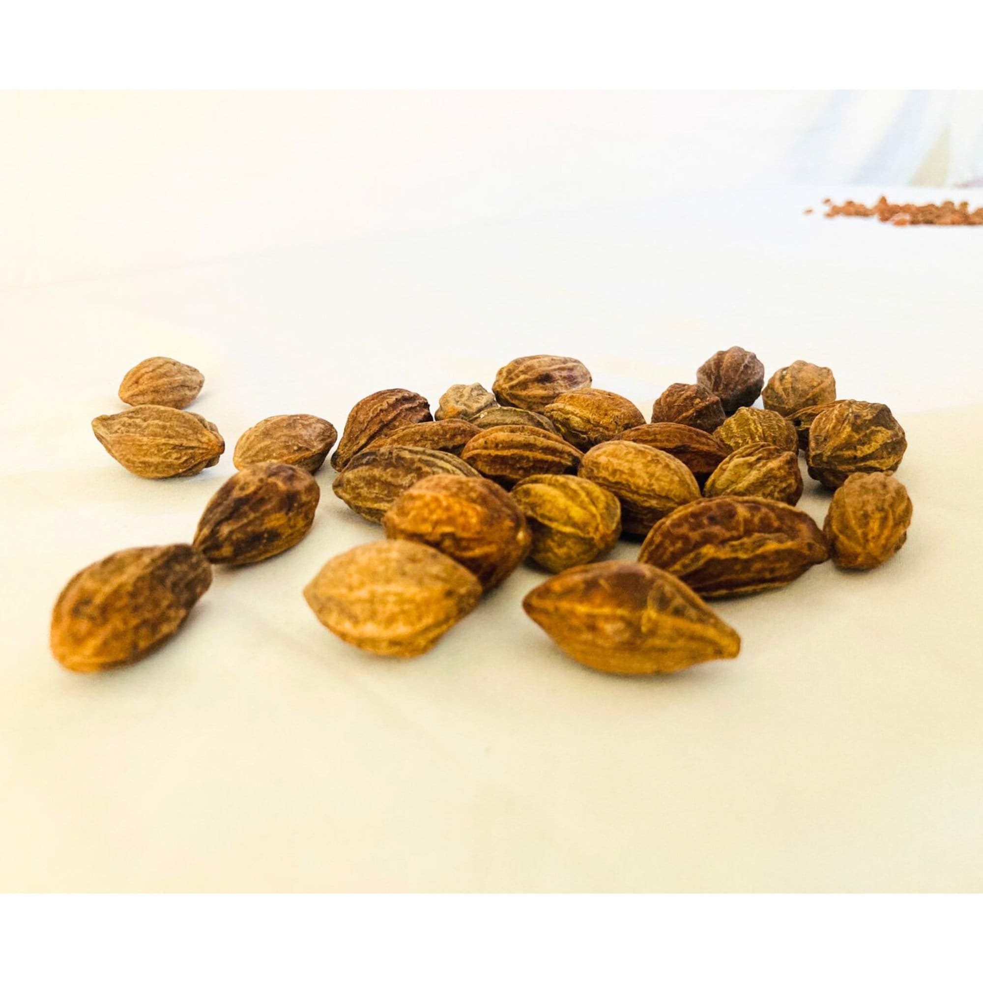 Terminalia Chebula Myrobalan Fruit - Natural Tannin - 200g Pack ...