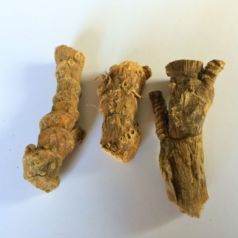 100% Natural Calamus Root | Sweet Flag Root | Acorus Calamus Dried Root ...