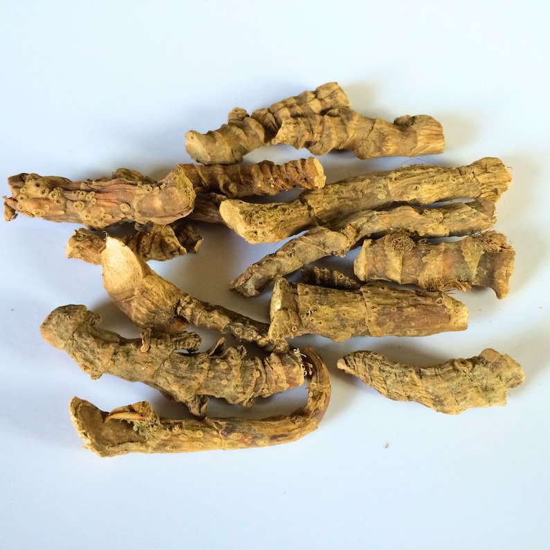 100% Natural Calamus Root | Sweet Flag Root | Acorus Calamus Dried Root ...