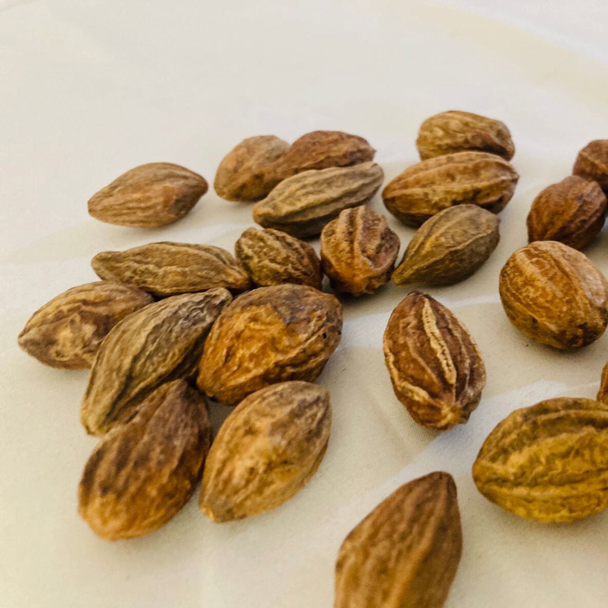 Terminalia Chebula Myrobalan Fruit - Natural Tannin - 200g Pack ...