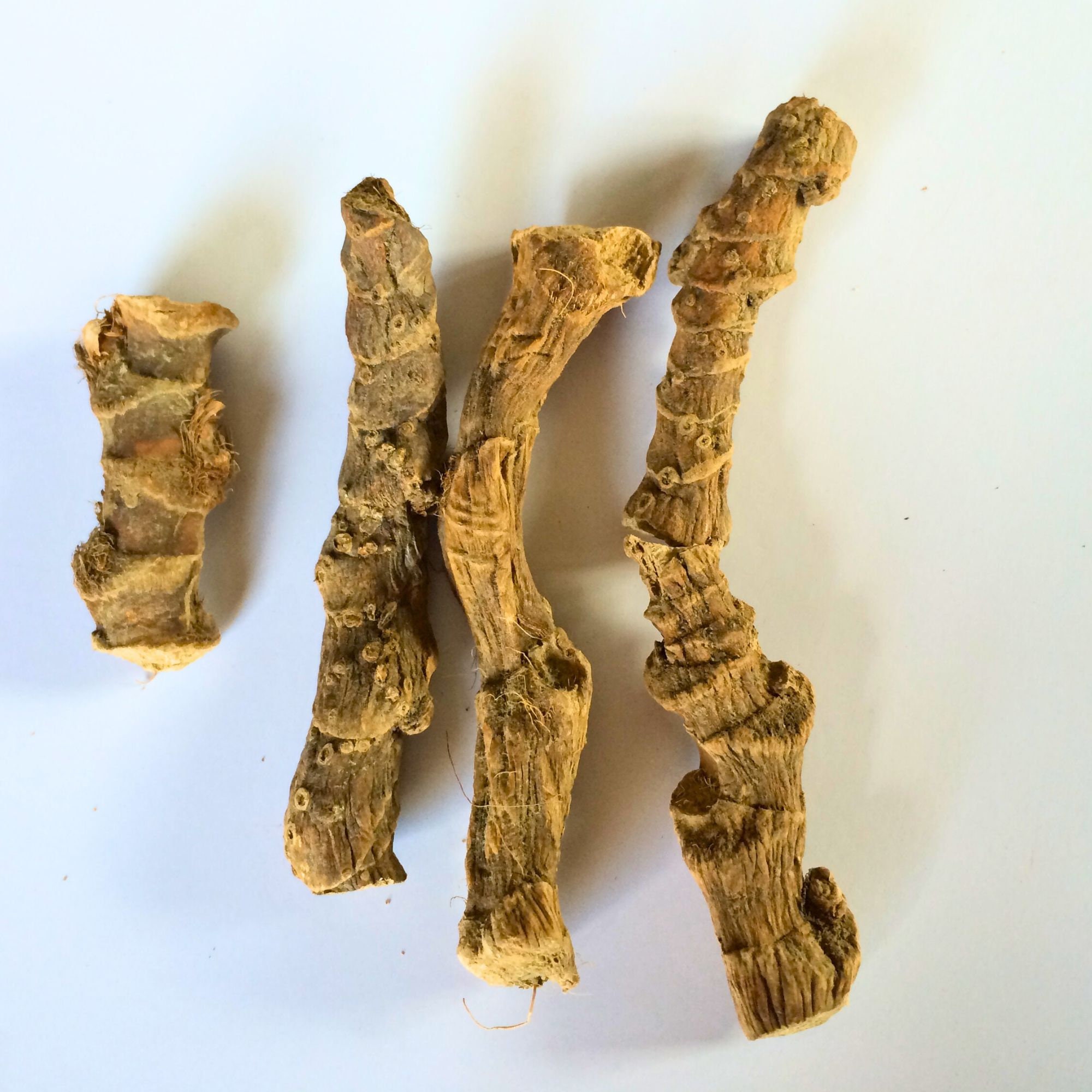 Himalayan CALAMUS ROOT | Acorus Calamus Raw Dried | Calamus Root for ...